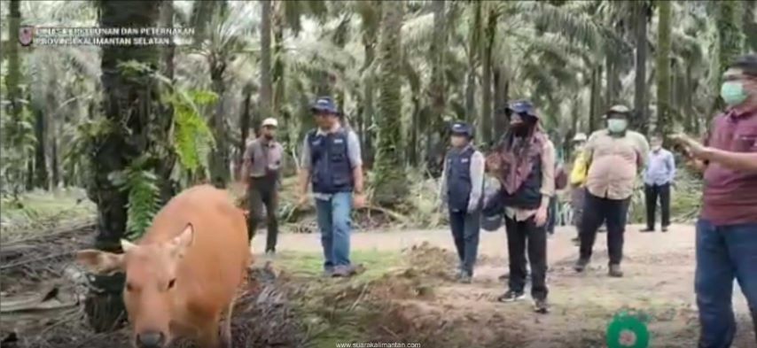 Pemprov Kalsel lakukan SID Implementasi SISKA KU INTIP di Tabalong – SuaraKalimantan.com